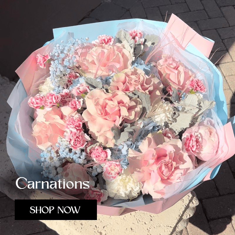 Buy Vibrant Carnations | Fresh Carnation Bouquets Delivered | Shop Now ...