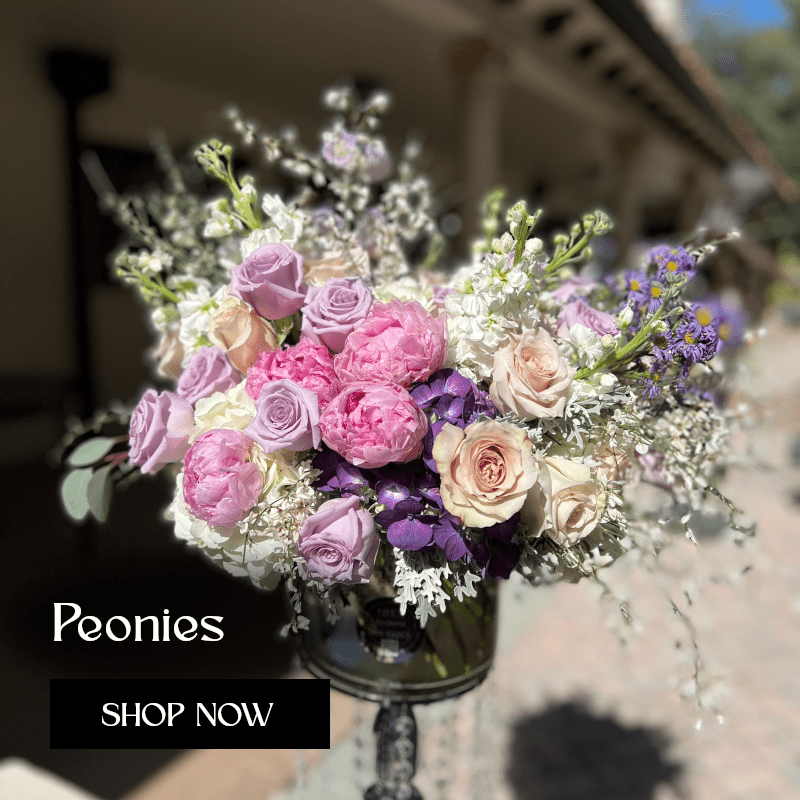 Order Luxurious Peonies | Gorgeous Peonies | Fast Flower Delivery ...