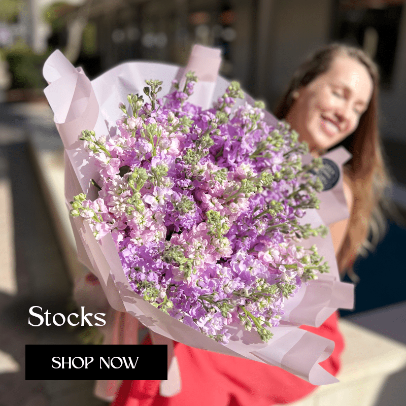 Buy Fragrant Stocks | Vibrant Stocks Bouquet | Express Flower Delivery ...